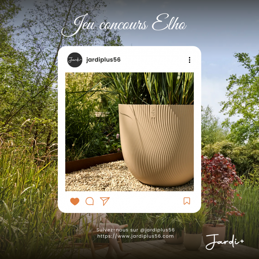 Jeux concours - JARDI+